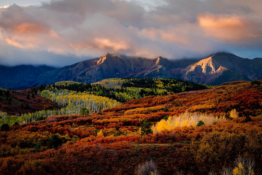 Aspen Collection – Landmine Design